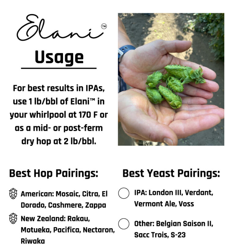 Elani® Hops (YQH-1320 cv.) - Yakima Quality Hops