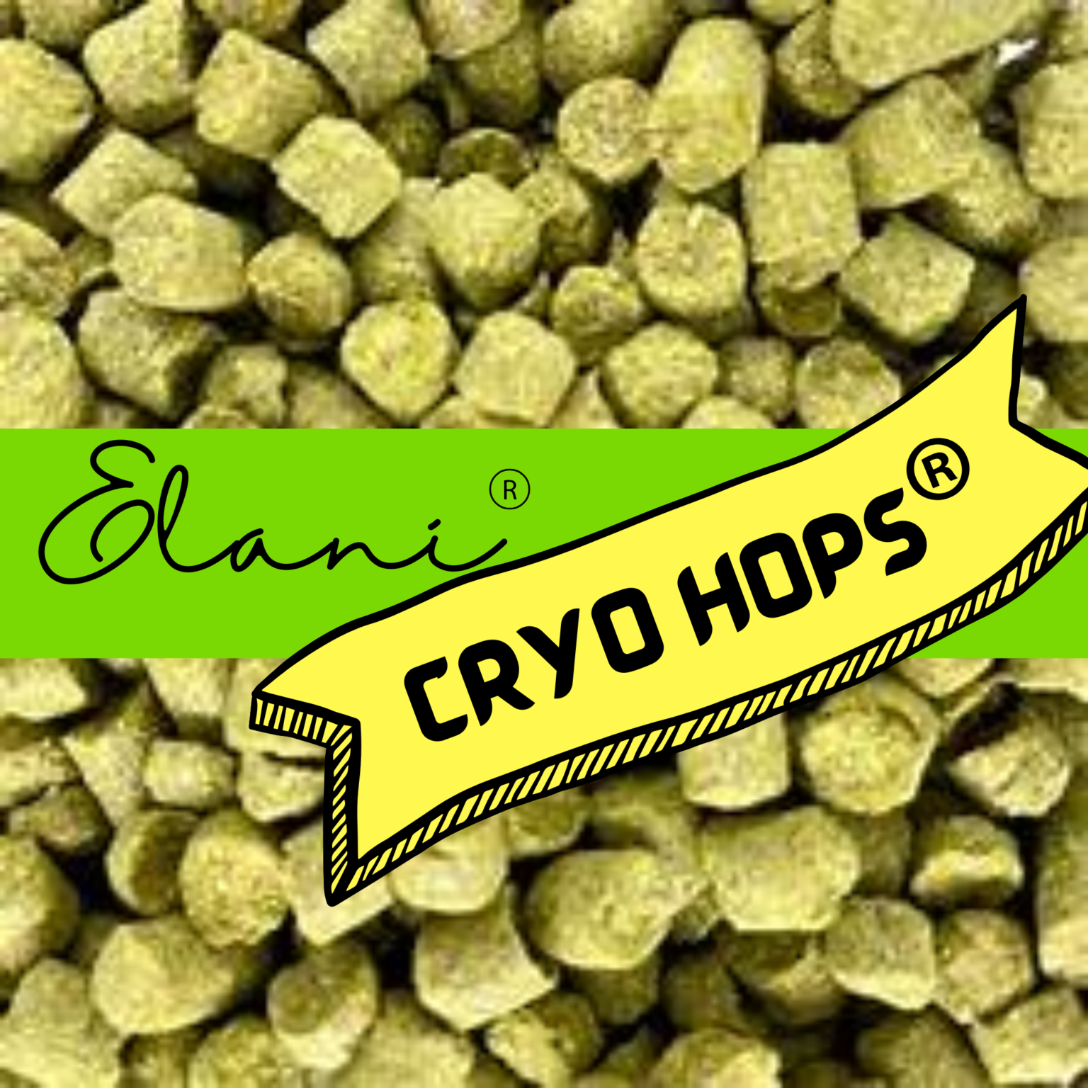HOME - Yakima Quality Hops